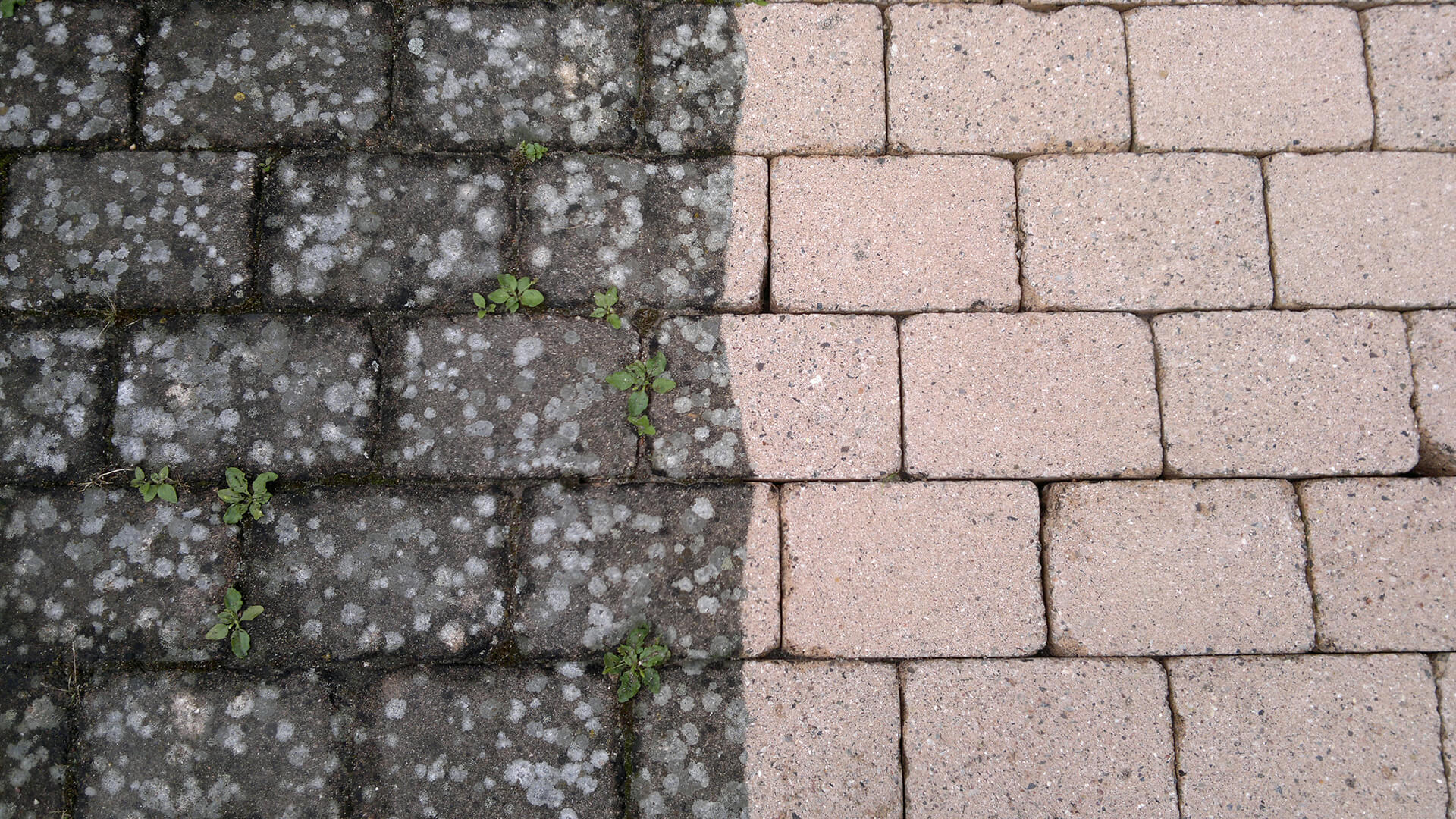 Fliserens Erhverv | Få fliserne renset med HELE 20 ÅRS GARANTI!